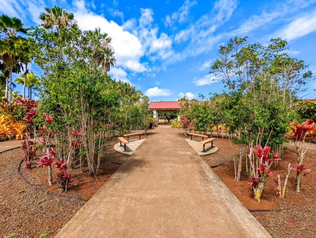9 Oahu Botanical Gardens that Prove Paradise Is Even More Beautiful ...